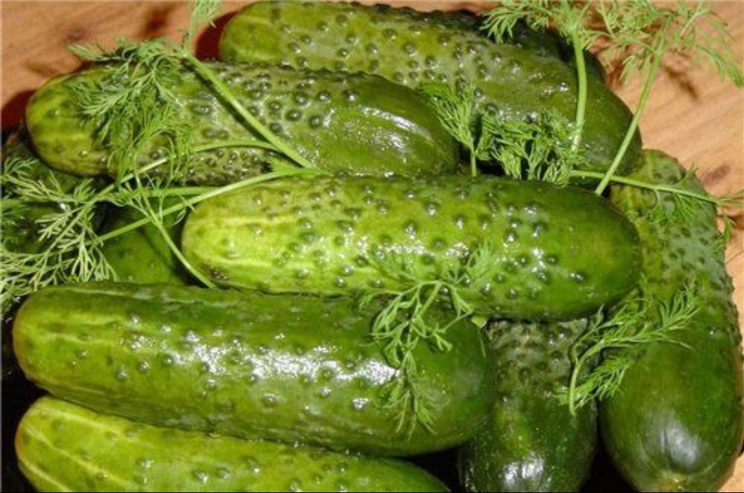 Marinuoti agurkai su kalendra - Receptas su nuotraukomis